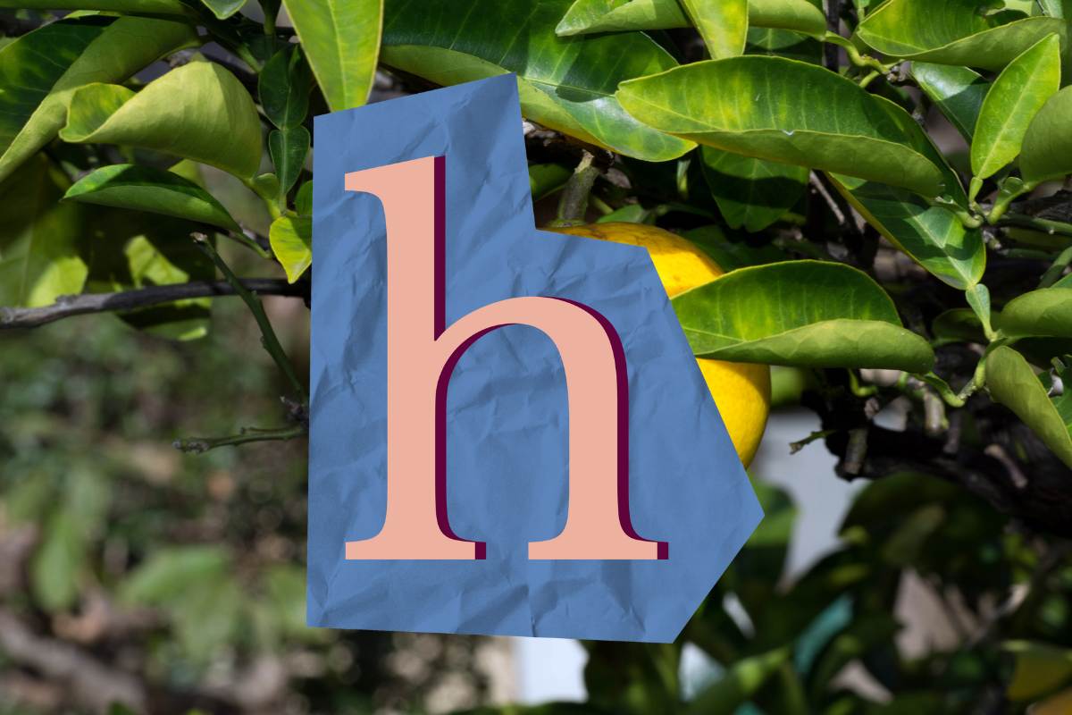La liste complète des fruits qui commence par H